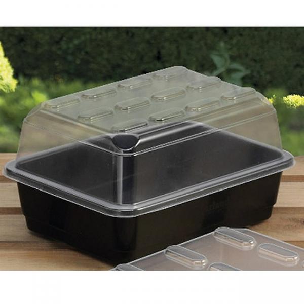 Kweekkasje met deksel - 23 x 17 x 12 cm - Kweekkasje met deksel - 23 x ...