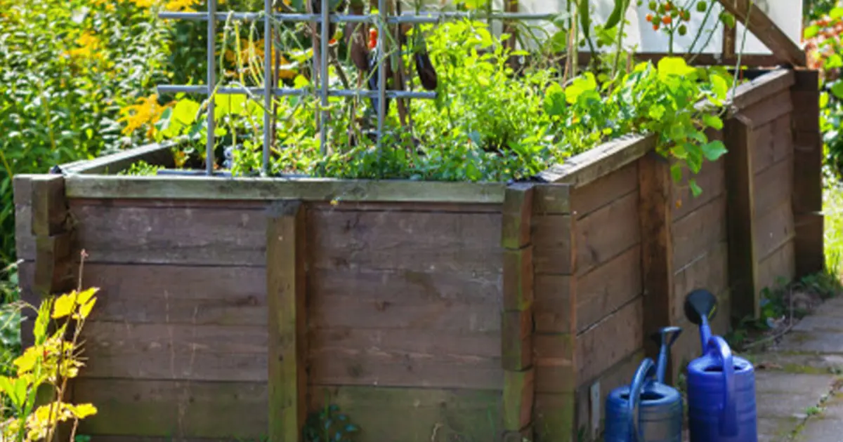 Met wat vul je een moestuinbak? - Floralux