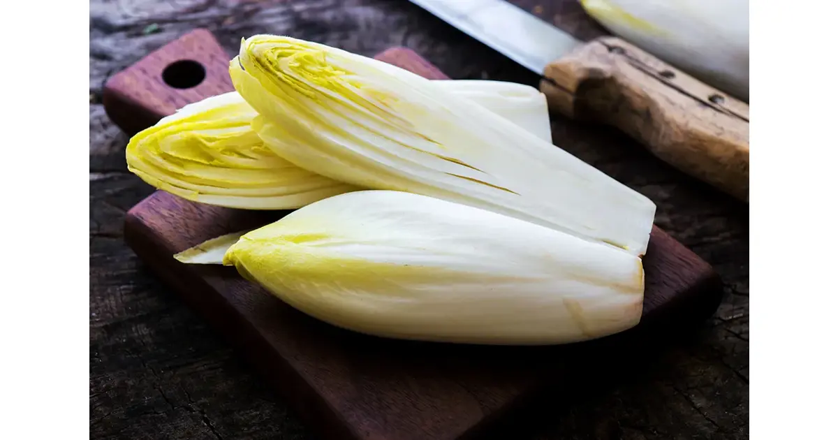 Hoe kweek ik witloof - Floralux