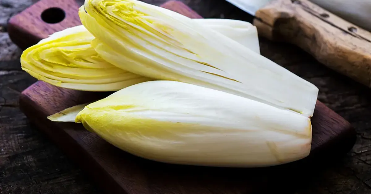 Hoe kan je zelf witloof kweken? - Floralux